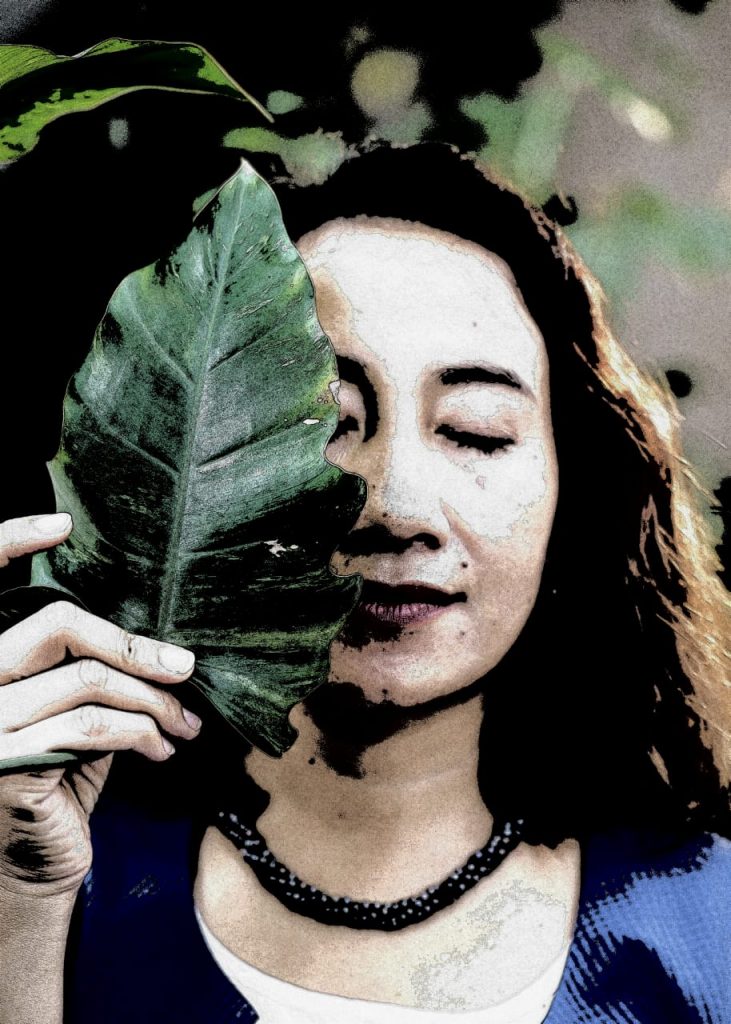 Individual Members – Cicada – English