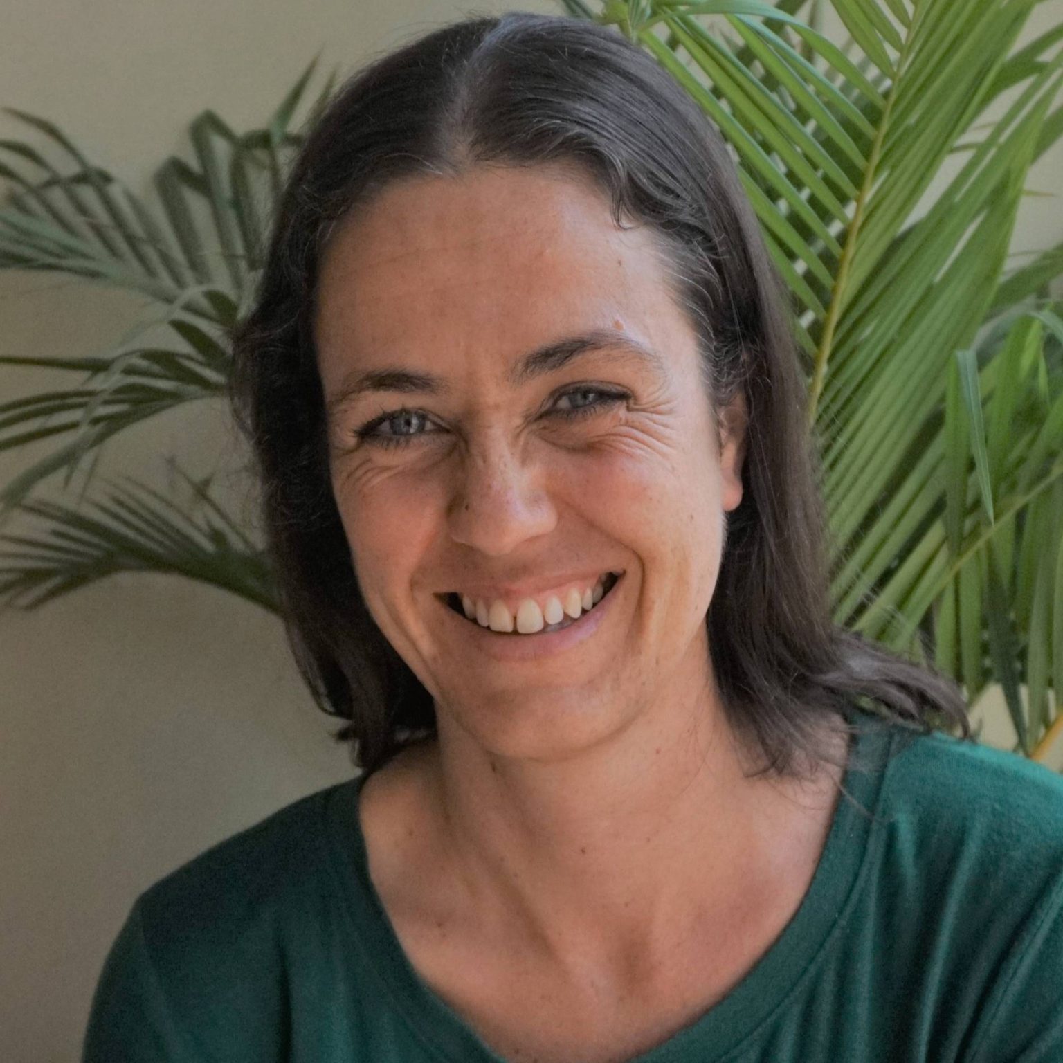 Cicada – English – The consolidated voice and solidarity of cultural ...